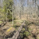 Benedict Pond Loop Trail, Massachusetts - 695 Reviews, Map | AllTrails