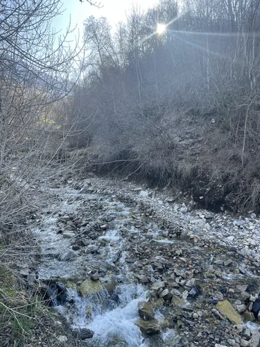 Best River Trails in Mutual Dell | AllTrails