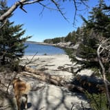 Hermit Island Loop, Maine - 296 Reviews, Map | AllTrails