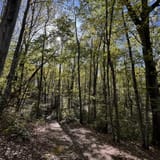 Beckwith Point Trail, Tennessee - 156 Reviews, Map | AllTrails