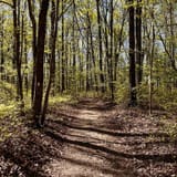 Beckwith Point Trail, Tennessee - 156 Reviews, Map | AllTrails