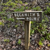 Beckwith Point Trail, Tennessee - 156 Reviews, Map | AllTrails