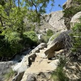 Tahquitz Canyon Loop, California - 4,186 Reviews, Map | AllTrails