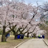 High Park Loop, Ontario, Canada - 1,154 Reviews, Map | AllTrails