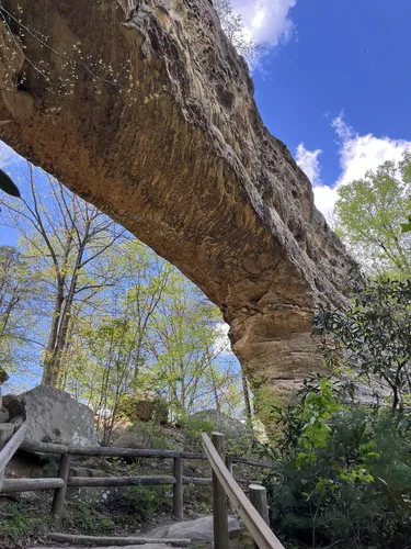 Best Lake Trails in Natural Bridge State Resort Park | AllTrails
