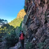 Rustig Hiking Trail, Gauteng, South Africa - 264 Reviews, Map | AllTrails