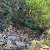 Rustig Hiking Trail, Gauteng, South Africa - 264 Reviews, Map | AllTrails