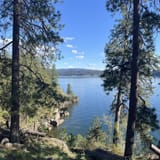 Tubbs Hill, Idaho - 4,122 Reviews, Map | AllTrails