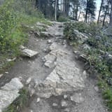 Tubbs Hill, Idaho - 4,033 Reviews, Map | AllTrails