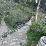 Tubbs Hill, Idaho - 4,122 Reviews, Map | AllTrails