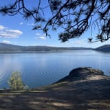 Tubbs Hill, Idaho - 4,065 Reviews, Map | AllTrails