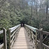 Hawk Falls Trail, Pennsylvania - 2,811 Reviews, Map | AllTrails