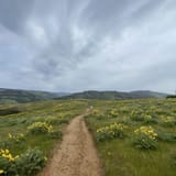 Rowena Plateau Trail, Oregon - 829 Reviews, Map | AllTrails