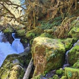 Santiam Wagon Road to House Rock, Oregon - 491 Reviews, Map | AllTrails