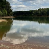 Nottely Reservoir Trail, Georgia - 952 Reviews, Map | AllTrails