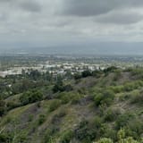 Fryman Canyon Trail, California - 6,231 Reviews, Map | AllTrails