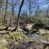 Bald Rocks Shelter via White Bar, Ramapo Dunderberg and Nurian Loop ...