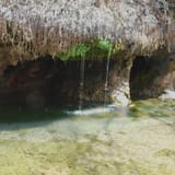 Dripping Rock Falls, Utah - 743 Reviews, Map | AllTrails