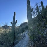 Freedom Trail (#302), Arizona - 4,387 Reviews, Map | AllTrails