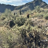 Freedom Trail (#302), Arizona - 4,387 Reviews, Map | AllTrails