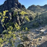 Freedom Trail (#302), Arizona - 4,387 Reviews, Map | AllTrails