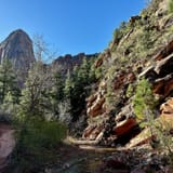 Middle Fork Taylor Creek Trail, Utah - 3,251 Reviews, Map | AllTrails