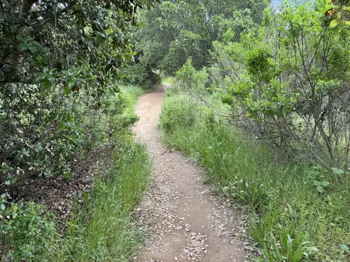 Best Hikes and Trails in Alston Park | AllTrails