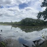 The Meadows Slough Trail, California - 449 Reviews, Map | AllTrails