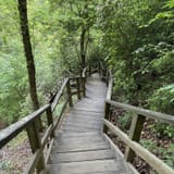 Raven Rock Loop Trail, North Carolina - 2,582 Reviews, Map | AllTrails