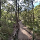 Mt Coot-tha Summit Track, Queensland, Australia - 409 Reviews, Map ...