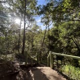 Mt Coot-tha Summit Track, Queensland, Australia - 409 Reviews, Map ...