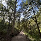Mt Coot-tha Summit Track, Queensland, Australia - 409 Reviews, Map ...