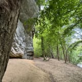 Raven Rock Loop Trail, North Carolina - 2,582 Reviews, Map | AllTrails