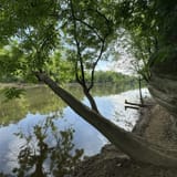 Raven Rock Loop Trail, North Carolina - 2,582 Reviews, Map | AllTrails