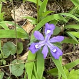 John Rock Trail Loop, North Carolina - 2,226 Reviews, Map | AllTrails