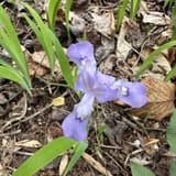 John Rock Trail Loop, North Carolina - 2,226 Reviews, Map | AllTrails