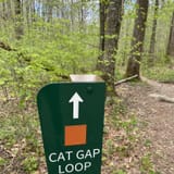 John Rock Trail Loop, North Carolina - 2,334 Reviews, Map | AllTrails