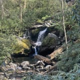 Grotto Falls via Trillium Gap Trail, Tennessee - 6,316 Reviews, Map ...