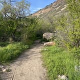 Quail Trail Loop, Utah - 287 Reviews, Map | AllTrails