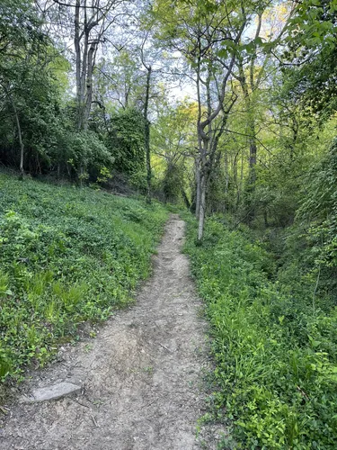 Best Views Trails in Devou Park | AllTrails