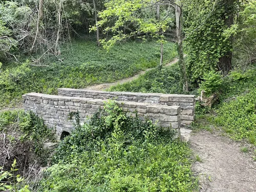 Best Views Trails in Devou Park | AllTrails