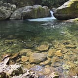 Mouse Creek Falls via Big Creek Trail, Tennessee - 2,685 Reviews, Map ...