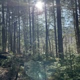 Mount Cube via the Appalachian Trail, New Hampshire - 614 Reviews, Map ...