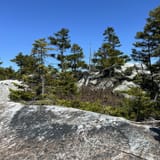 Mount Cube via the Appalachian Trail, New Hampshire - 516 Reviews, Map ...