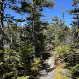Mount Cube via the Appalachian Trail, New Hampshire - 516 Reviews, Map ...
