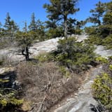 Mount Cube via the Appalachian Trail, New Hampshire - 516 Reviews, Map ...
