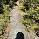 Mount Cube via the Appalachian Trail, New Hampshire - 517 Reviews, Map ...