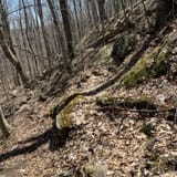 Mount Cube via the Appalachian Trail, New Hampshire - 516 Reviews, Map ...