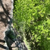 Whitaker Point Trail (Hawksbill Crag), Arkansas - 3,833 Reviews, Map ...