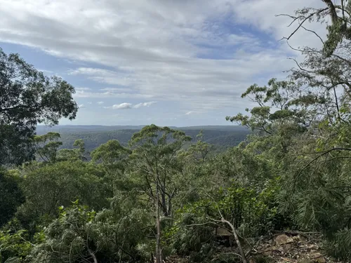 Best Walking Trails in Watagan State Forest | AllTrails